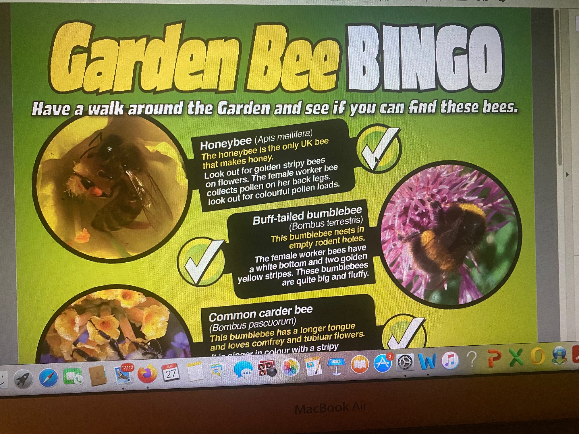 Bee Bingo – The Green Jeanie
